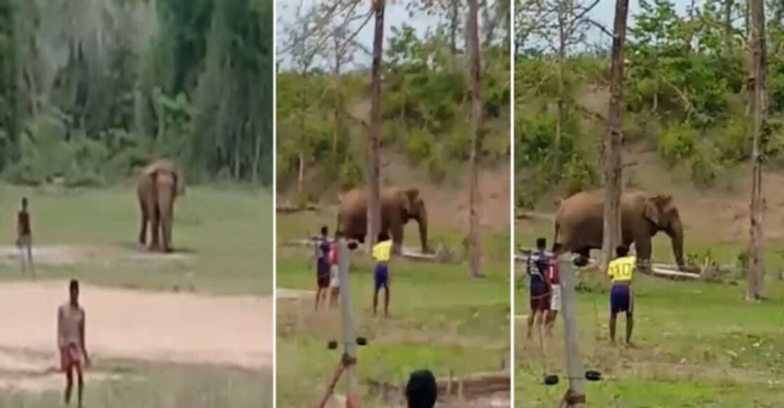 പന്തു കളിക്കാൻ ഞാനും കൂടാം; മലപ്പുറത്ത് പന്തുകളിക്കിടയിൽ അപ്രതീക്ഷിത അതിഥിയായി കാട്ടാന– A Wild ...
