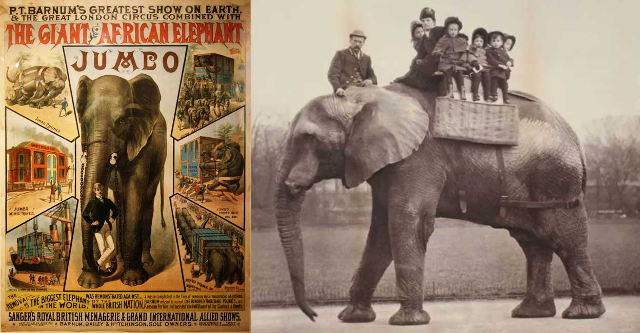 പൊലീസ് അകമ്പടികളോടെ നടുംഗമുവ രാജ, പെയിന്റർ റൂബി, ബ്രിട്ടീഷ് രാജ്ഞിയുടെ ...