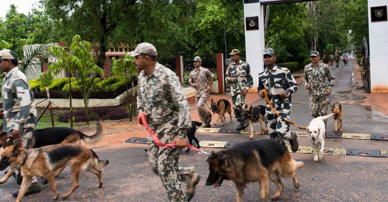 ഓരോ നായകൾക്കും ഓരോ ദൗത്യം, അതനുസരിച്ച് റാങ്കും; ഇന്ത്യൻ ആർമിയിലെ നായകള് ...