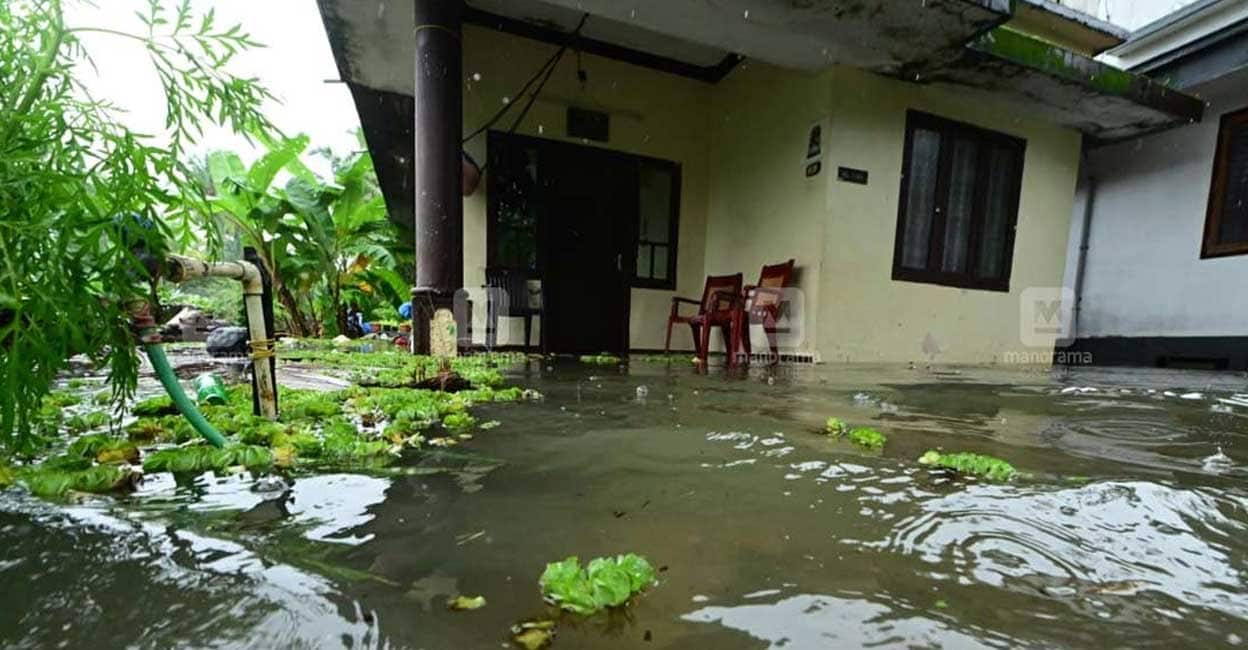 ഒറ്റ മഴ; കുതിർന്ന ബൺ പോലെ മണ്ണ്: പ്രളയ ഭീതി 4 നദികളിൽ; കണ്ണടച്ചു ...
