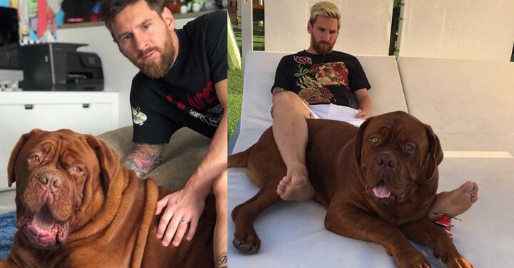 മെസ്സിയുടെ ഹൾക്ക്; ഒറ്റനോട്ടത്തില്‍ ഭയപ്പെടുത്തുന്ന രൂപം; ഭാര്യയുടെ ...