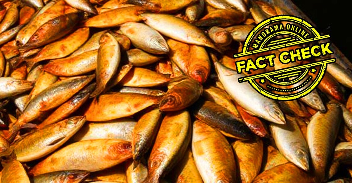 'കൊച്ചിയില്‍ മായം കലര്‍ത്തിയ മത്സ്യം'! | Fact Check | Kochi | Kerala | adulterated fish | viral ...