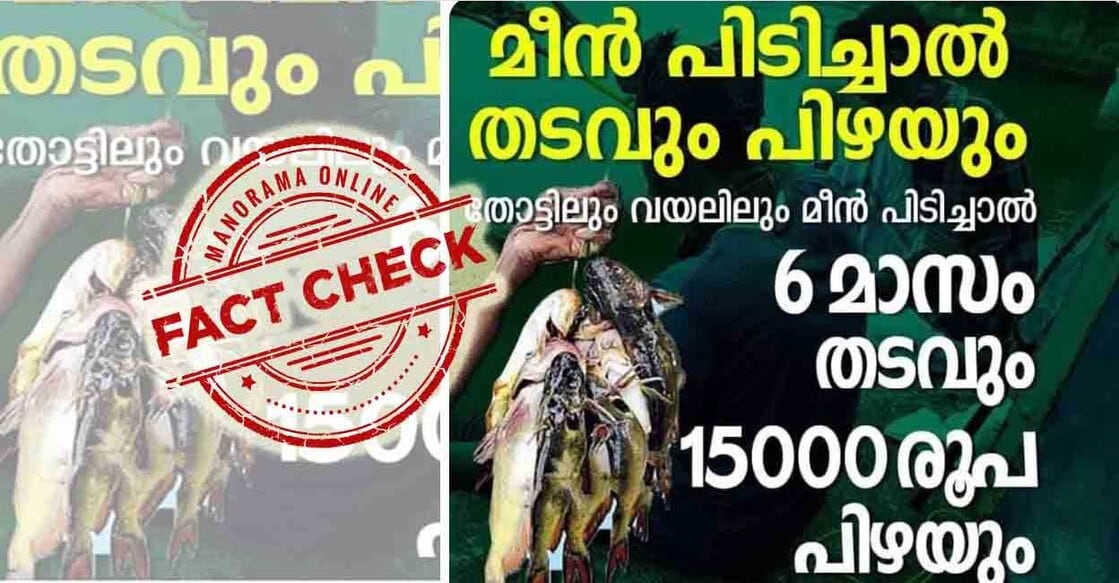 ജോലി വേണമെങ്കിൽ പണം; ആളെക്കൊല്ലി മുറിവൈദ്യന്മാരുടെ കാലം! മെനഞ്ഞെടുക്കുന്ന ഈ കുത്തിത്തിരിപ്പുക ...