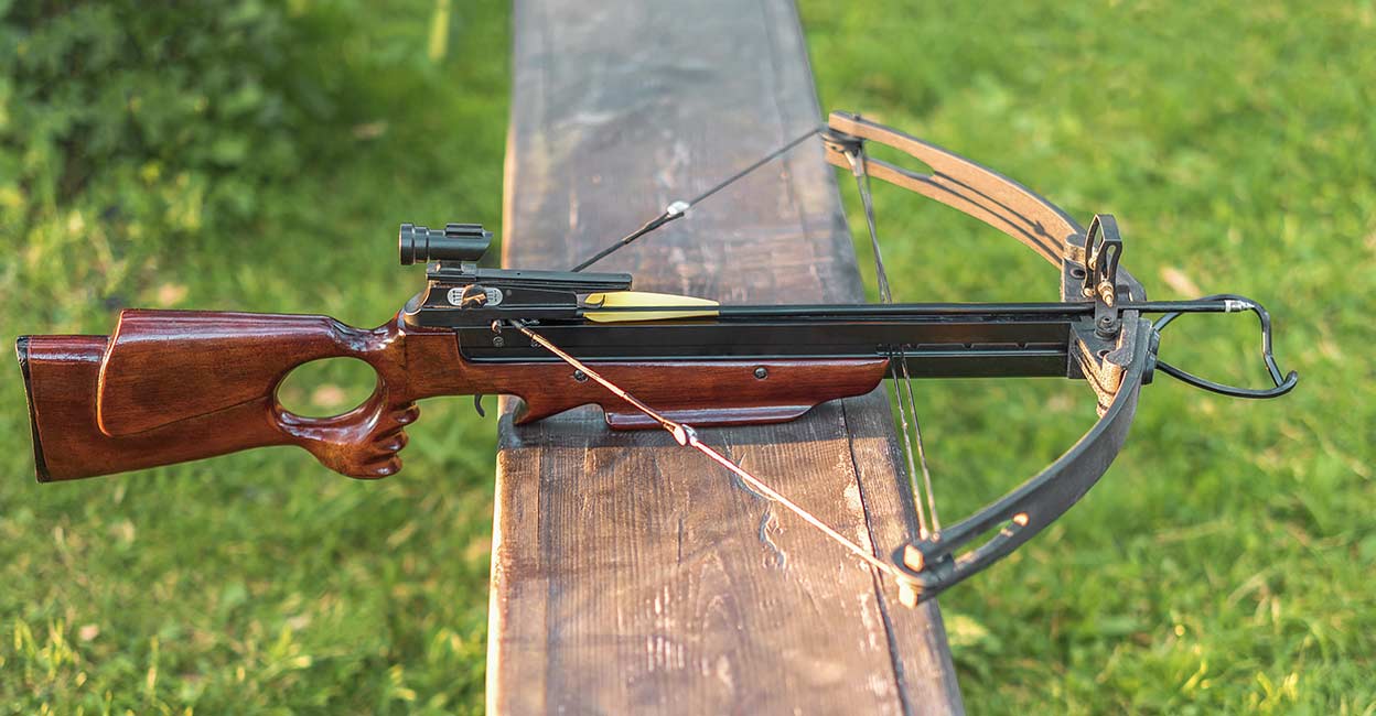 ജര്‍മനിയല്‍ ആരോഗ്യപ്രവർത്തകയെ വില്ല് ഉപയോഗിച്ച് കുത്തി കൊലപ്പെടുത്തി ...