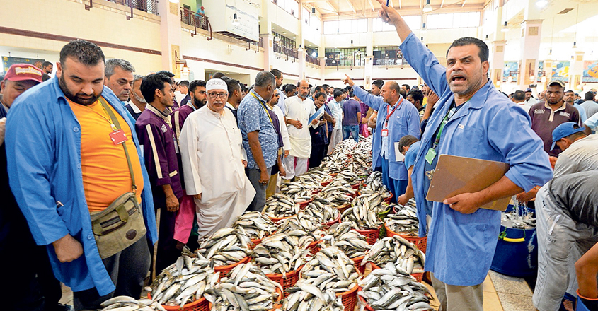 രാവിലെ വരൂ, ഒരു കുട്ട സുൽത്താൻ ഇബ്രാഹിം വാങ്ങാം