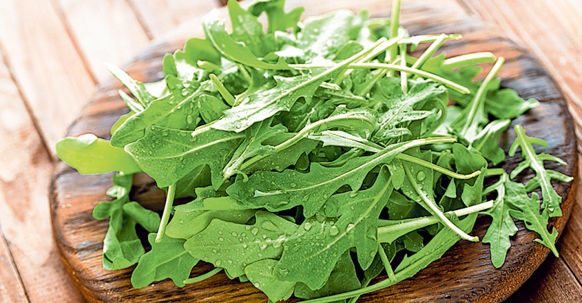 ആരോഗ്യമേകുന്ന വീറോടെ ഇലവർഗത്തിലെ ജർജീർ!