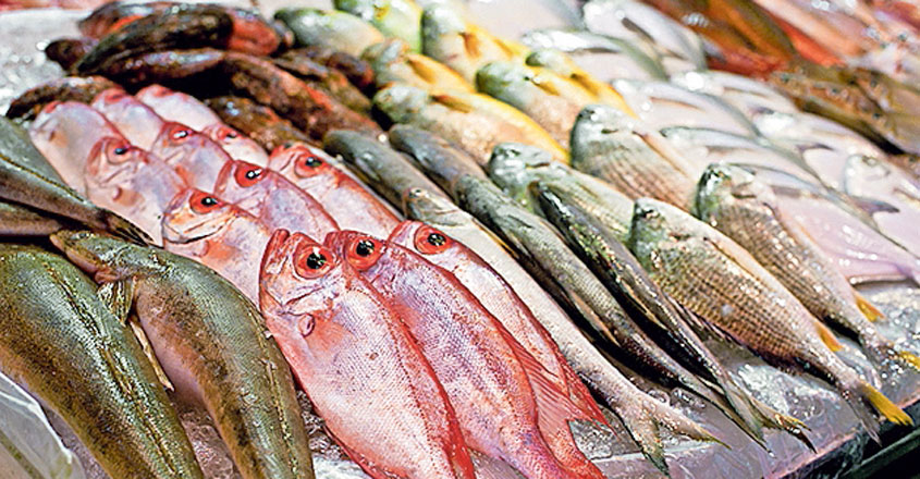 മീൻകറിക്കൂട്ടുമായി മത്സ്യഫെഡ് | Fish | Fishing | മീൻപിടിത്തം | ചൂണ്ട ...