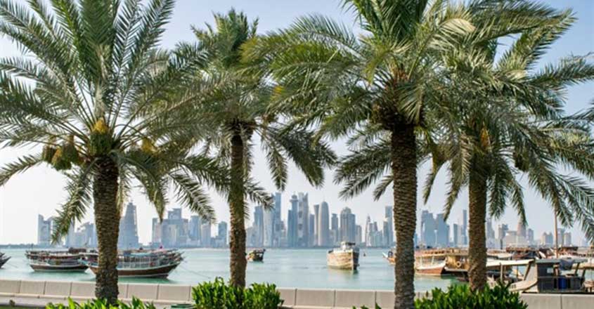 ഖത്തറിൽ മരങ്ങളുടെ എണ്ണത്തിൽ വൻ വർധന