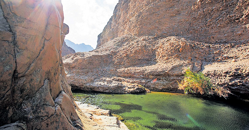 ജലക്ഷാമം നേരിടാൻ സംരക്ഷിത മേഖലകൾ; മാതൃകയായി യുഎഇ | UAE News | United ...