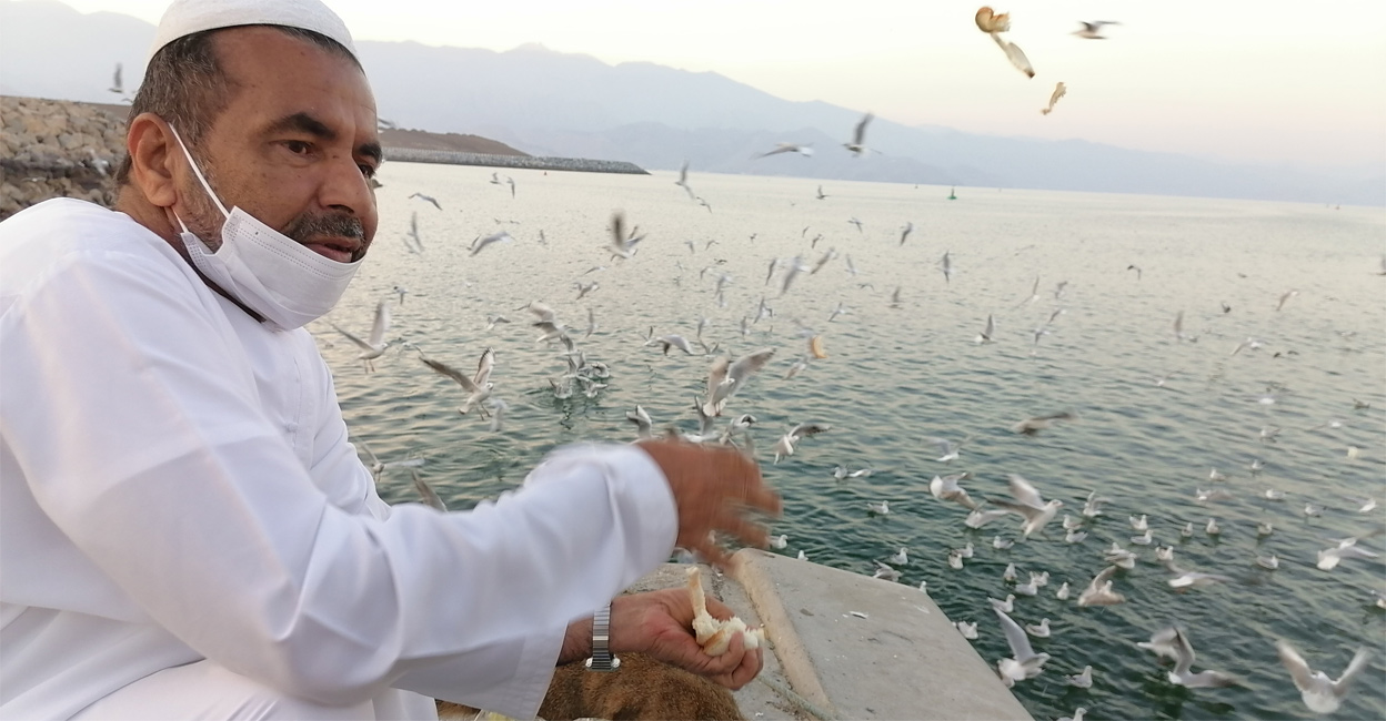 സൈബീരിയയിൽ നിന്നു യുഎഇ തീരമണഞ്ഞ ദേശാടന പക്ഷികൾ; വരവേറ്റ്, ഭക്ഷണമൊരുക്കി ...