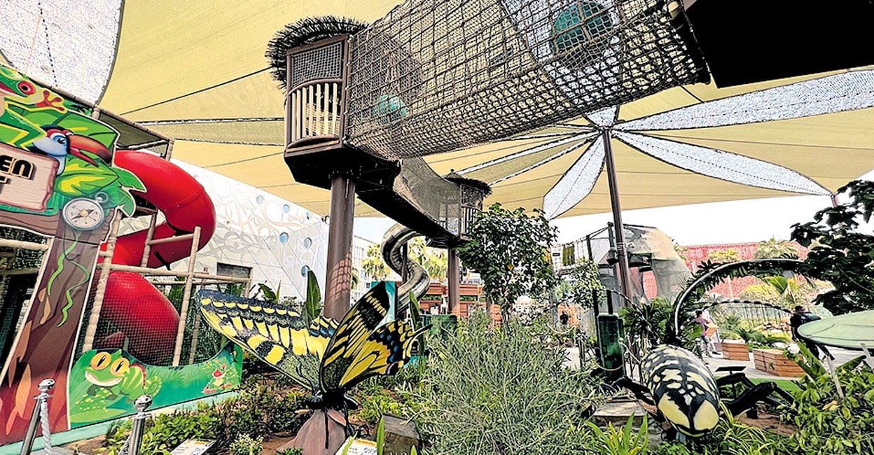 നഗരഹൃദയത്തിലെ ആമസോൺ കാട് ദുബായ് ഗ്രീൻ പ്ലാനറ്റ് വീണ്ടും തുറന്നു - Dubai ...