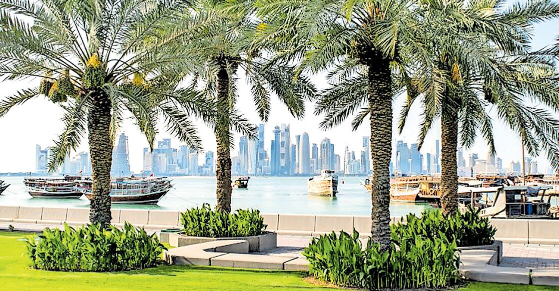 ചെടിച്ചട്ടികളിൽ ഇനി നിറയും ഈന്തപ്പന മണ്ണ് - Qatar implementing a pilot ...