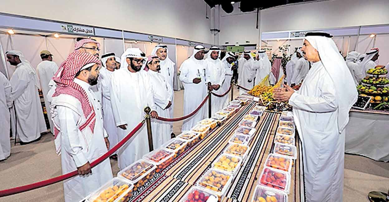 Discover the Aldeid Date Fair: A Celebration of Dates from Around the ...