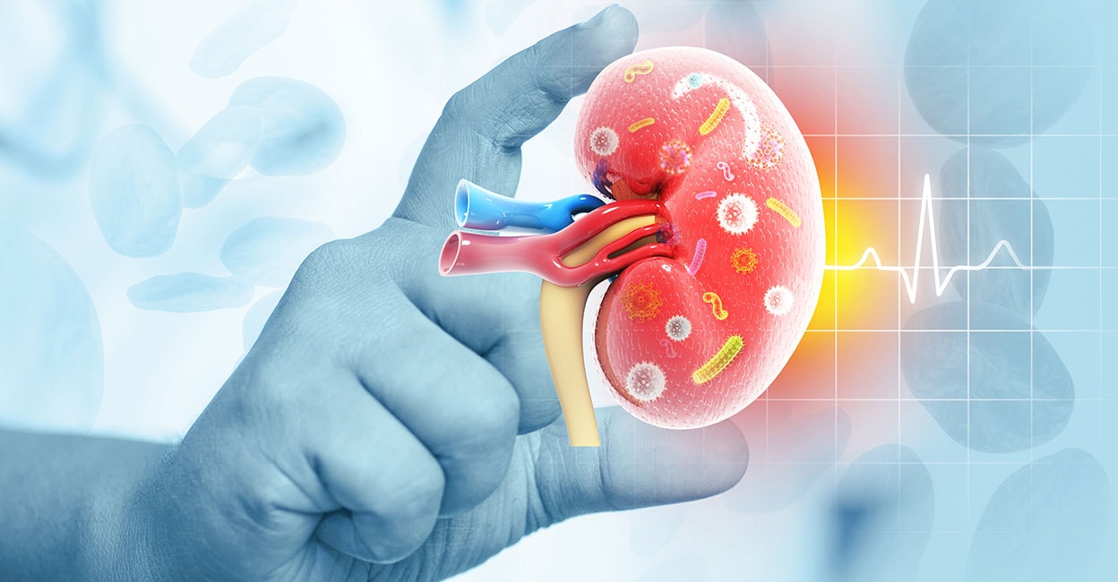 ‘വൃക്ക വിൽപന’ പരസ്യങ്ങൾ തുടരുന്നു - 'kidney sale' advertisement ...