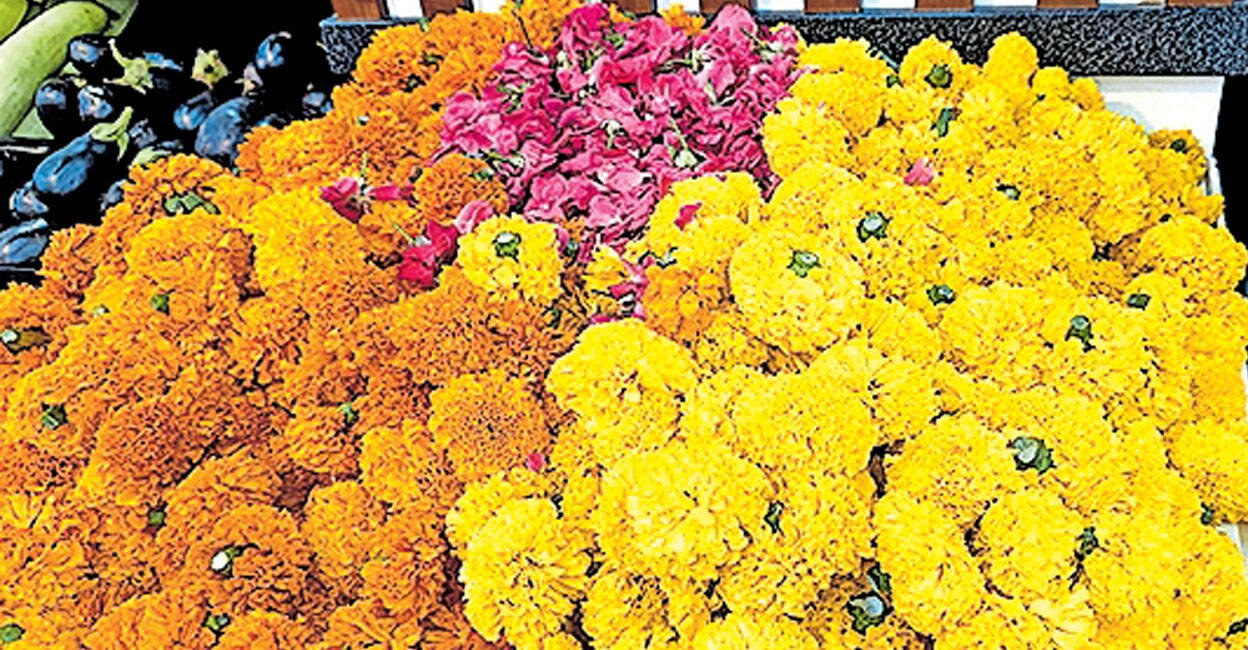 പൂ വിപണിയും കളർ ഫുൾ - Doha flower markets are colourful | Gulf News ...