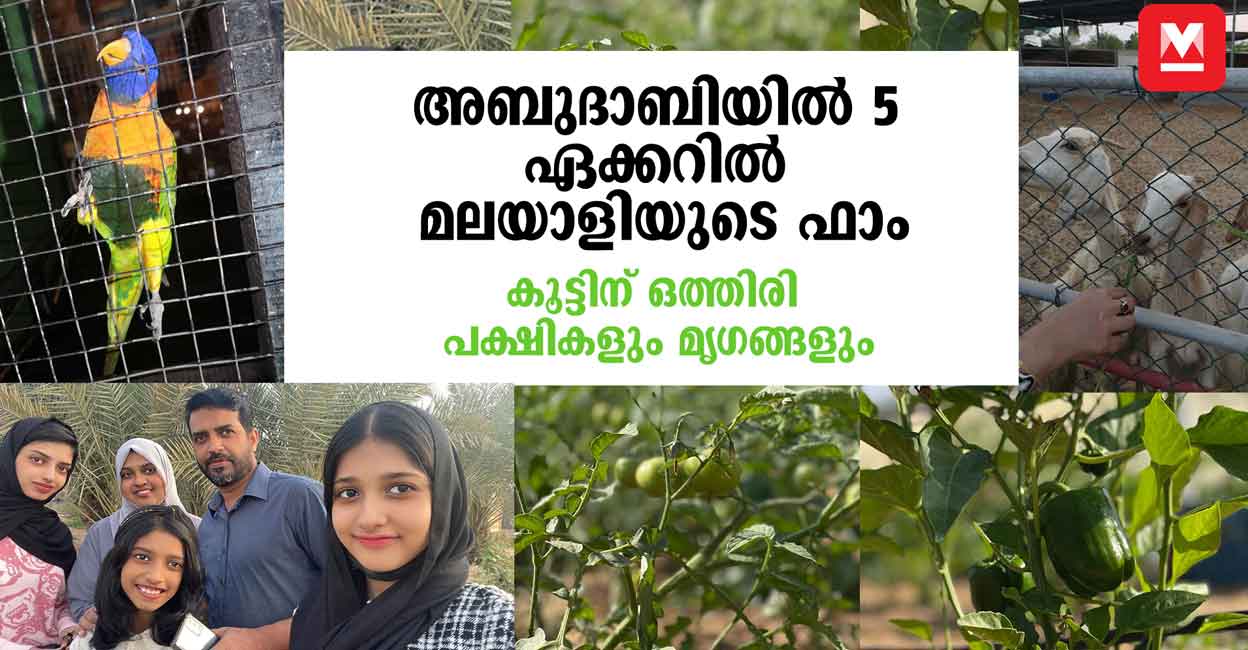 മരുഭൂമിയിൽ പൊന്നുവിളയിച്ച് മലയാളി അബുദാബിയിലെ അഞ്ചര ഏക്കർ ഫാമി ...