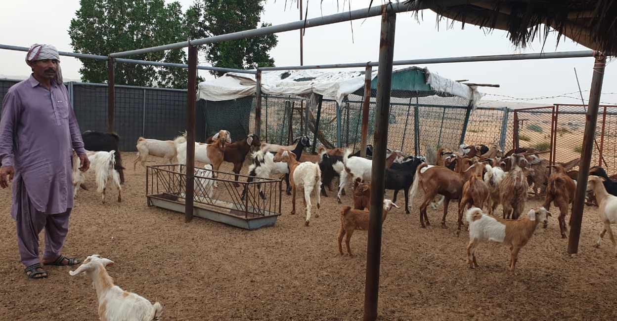 'ഞങ്ങളെല്ലാം ബഹുത് ഖുഷി, ജോലിയും എളുപ്പം, അർബാബ് സ്നേഹസമ്പന്നൻ - Arbab ...