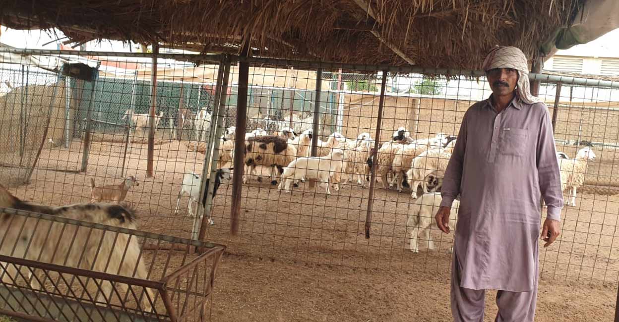 'ഞങ്ങളെല്ലാം ബഹുത് ഖുഷി, ജോലിയും എളുപ്പം, അർബാബ് സ്നേഹസമ്പന്നൻ - Arbab ...