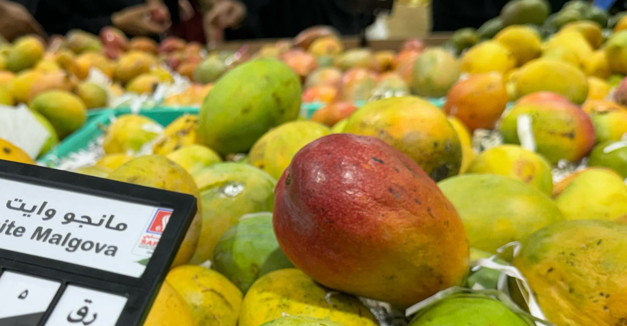 സൂഖിലെ ഇന്ത്യന്‍ മാമ്പഴക്കാലത്തിന് സമാപനം - Mango Festival | Mango ...