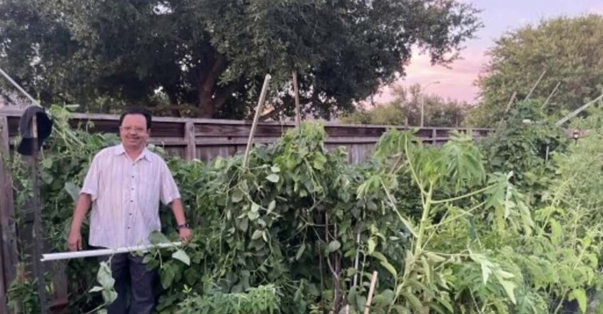 ഹൂസ്റ്റണിലെ ചുഴലിക്കാറ്റിൽ മലയാളികൾക്ക് വൻ കൃഷിനാശം- Hurricane Beryl ...