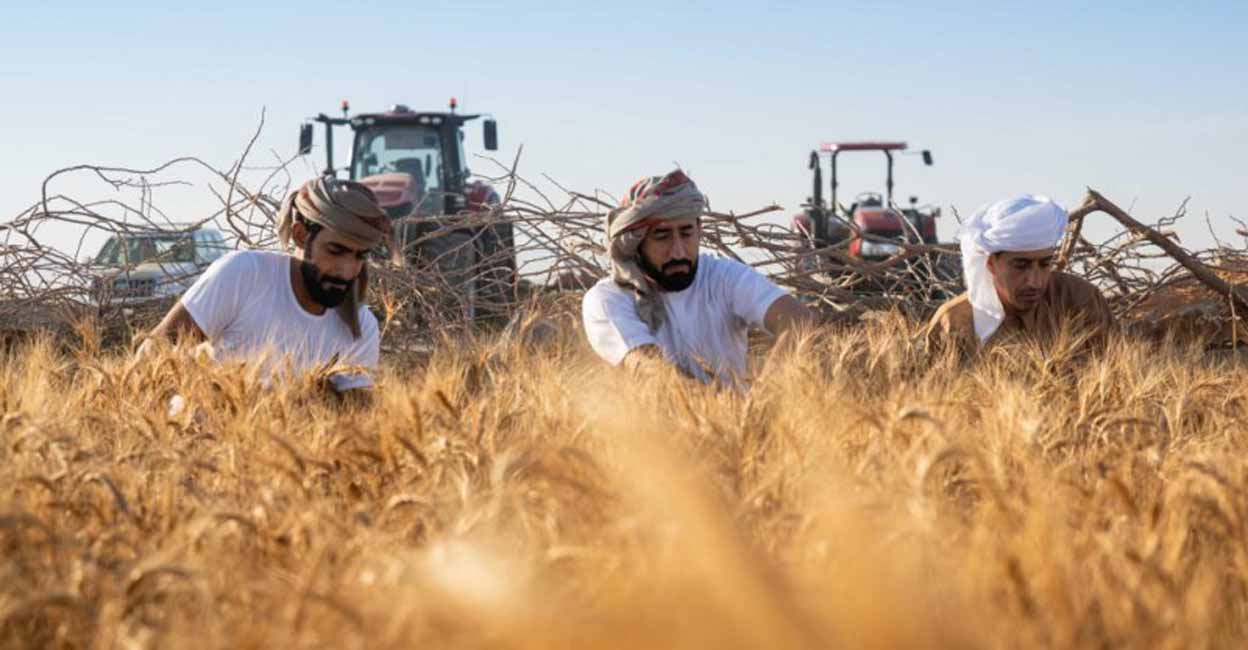 കൃഷി ഓഫിസർമാർക്ക് പരിശീലനം നൽകി സജ്ജരാക്കാൻ യുഎഇ - UAE will train and equip agriculture officers ...