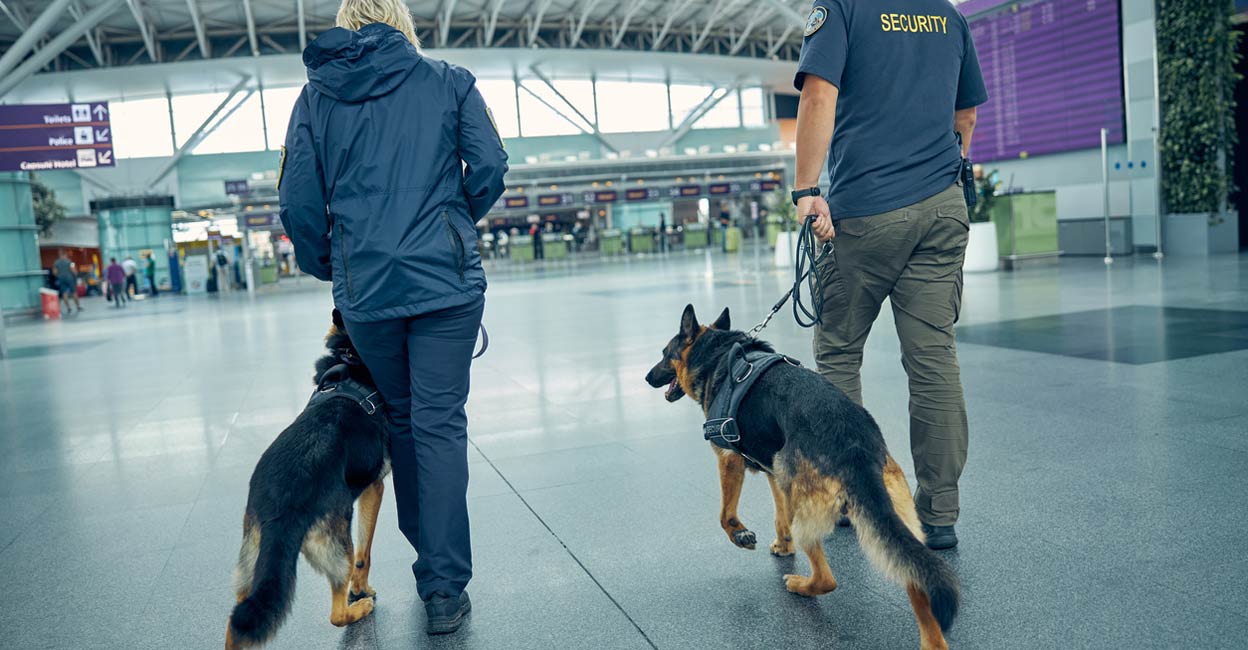 ലാൻഡിങ്ങിന് പിന്നാലെ വിമാനത്തിനടുത്ത് ഓടിയെത്തി സുരക്ഷാ സംഘം; തുടരുന്ന ...