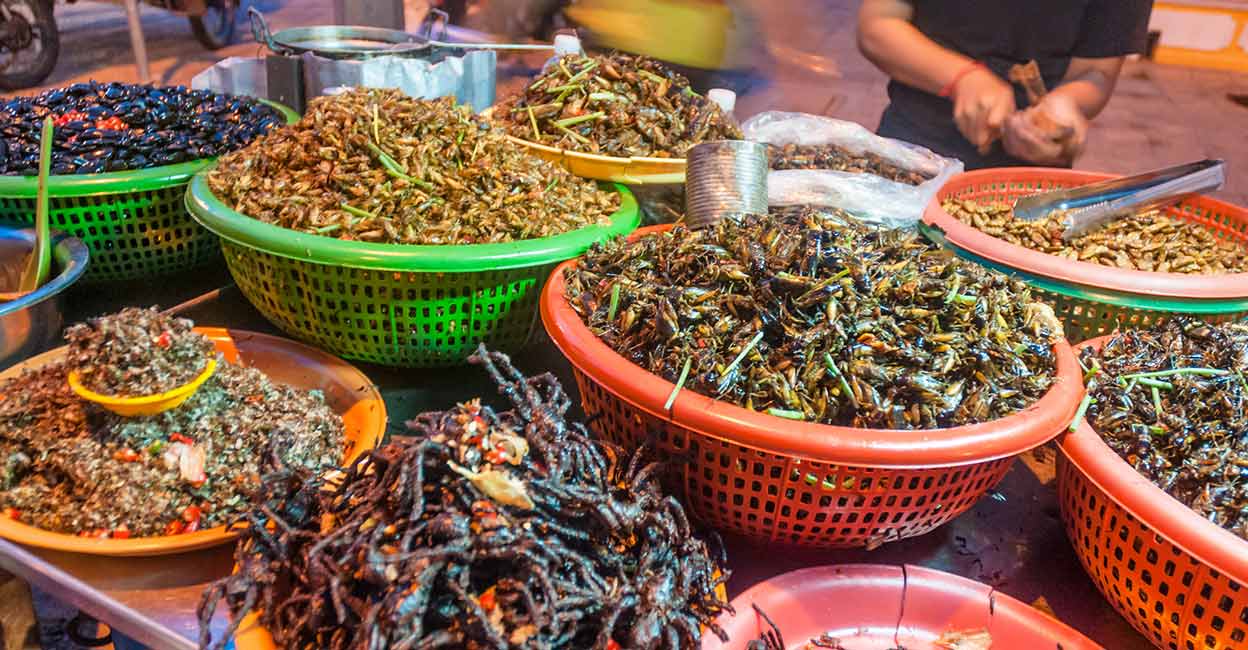 പ്രാണി, പുഴു ഭക്ഷണം വിലക്കി കുവൈത്ത് - Insect-Based Food | Insect Food ...
