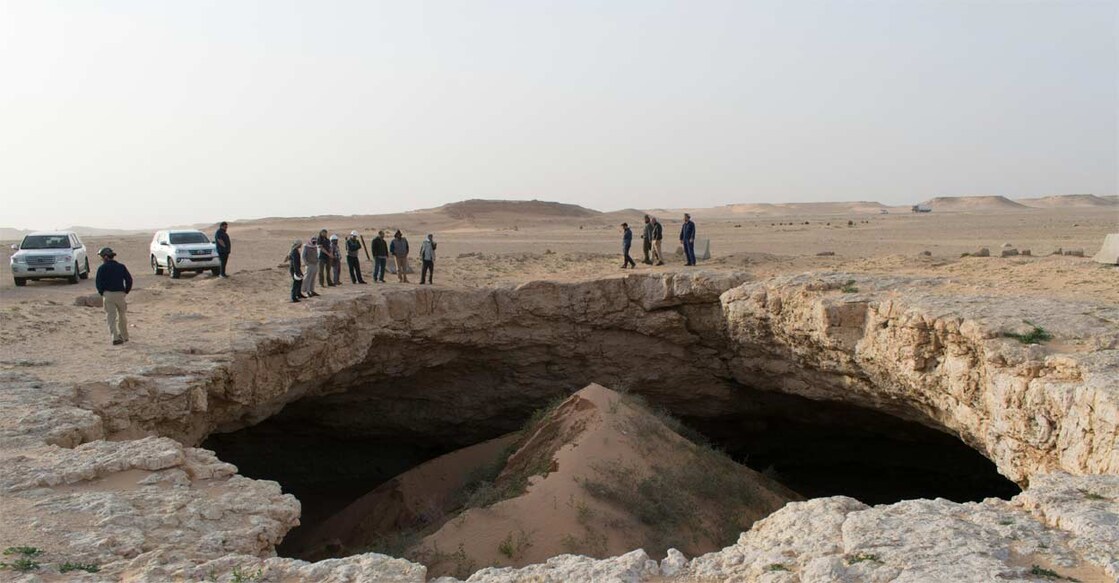 ഗ്രീൻ അറേബ്യ പ്രോജക്ട് പുതിയ കണ്ടെത്തലുകൾ പ്രസിദ്ധീകരിച്ച് സൗദി പൈതൃക ...