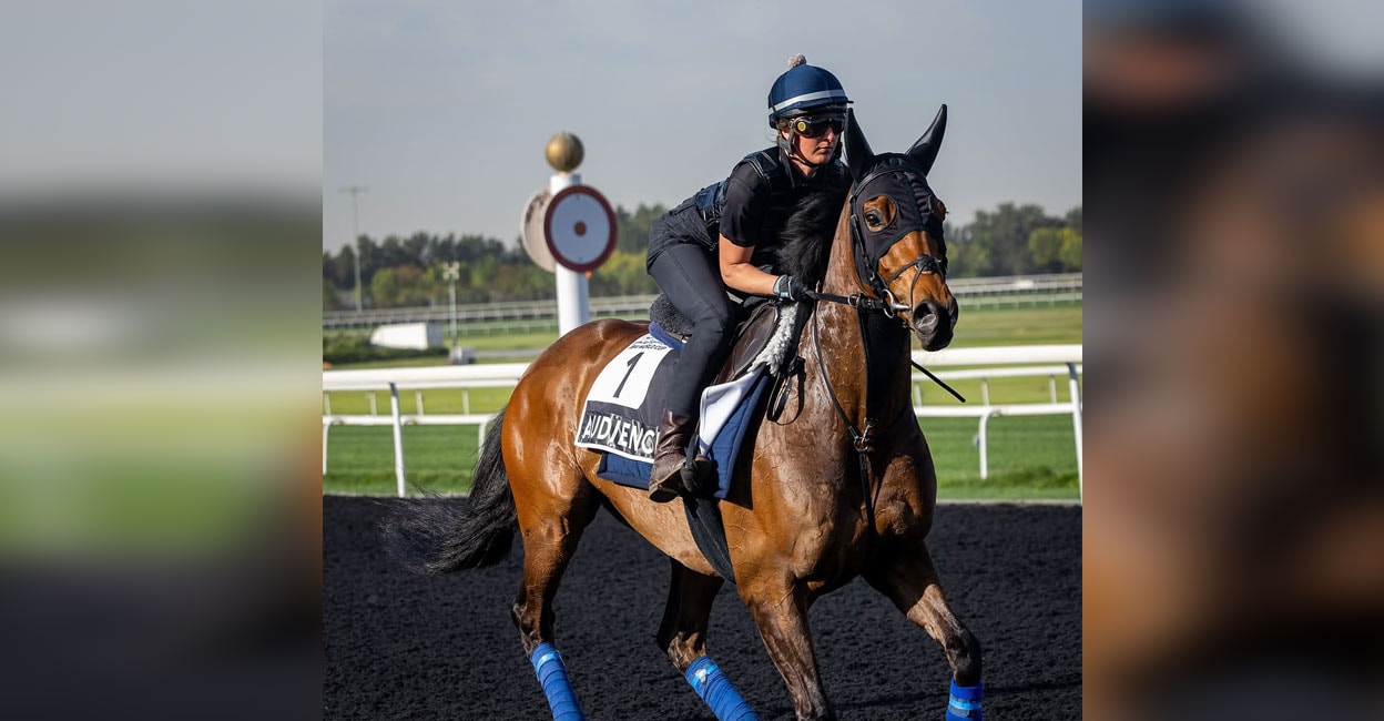 ആവേശത്തിൽ കാണികൾ ത്രില്ലടിപ്പിക്കാൻ കുതിരയോട്ട മത്സരം ദുബായ് വേൾഡ് ...