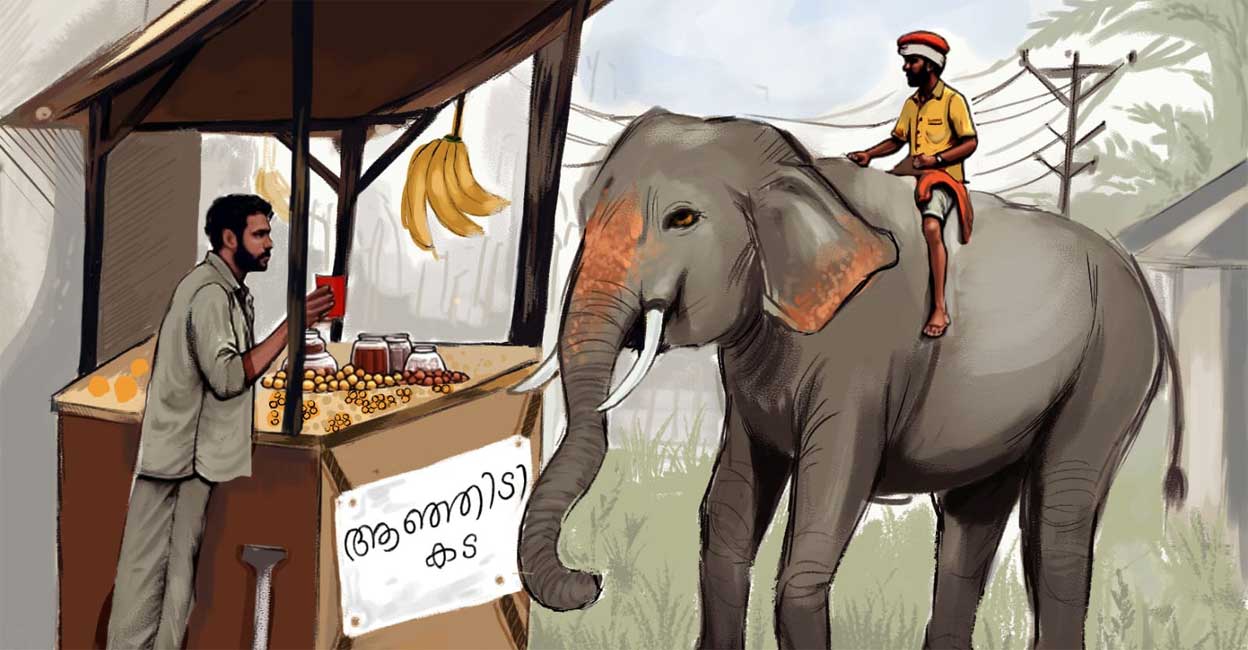 ആഞ്ഞിടിയും ആനകുട്ടനും പിന്നെ സോഡാക്കുപ്പിയും - Short Story Written By Dr Antony Thomas | Readers ...