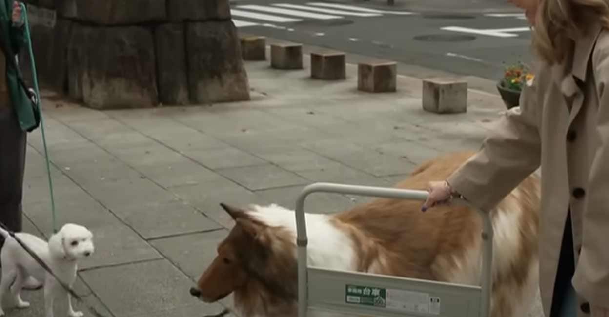 Real Life Dog Man Fulfilling His Dream: Tokyo's $20,000 Hyper Realistic ...