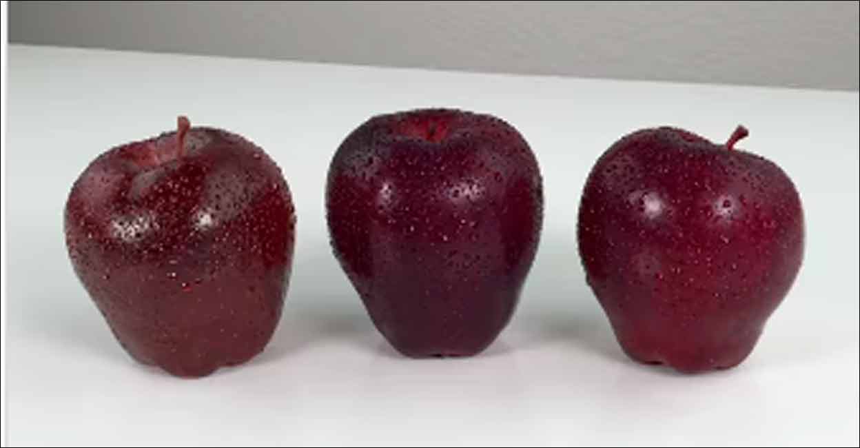 കേക്കോ അതോ ആപ്പിളോ; സോഷ്യൽ മീഡിയയെ അമ്പരപ്പിച്ച് ടെക്‌സസ് യുവതി