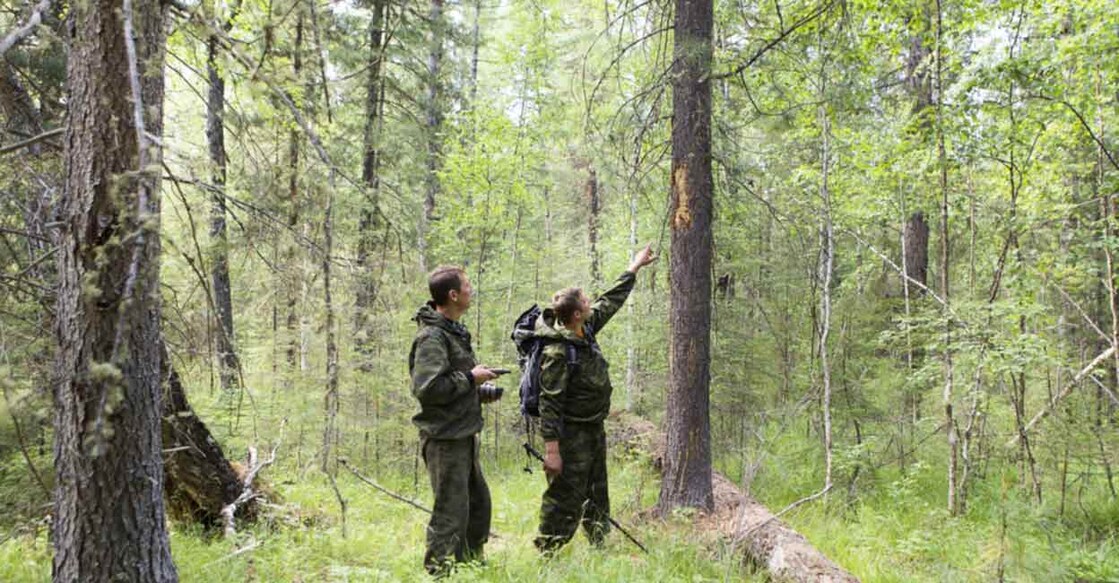 ഓക്‌ലഹോമയിൽ ഗെയിം വാർഡൻ തസ്തികകളിലേക്ക് അപേക്ഷ ക്ഷണിച്ചു - Oklahoma ...
