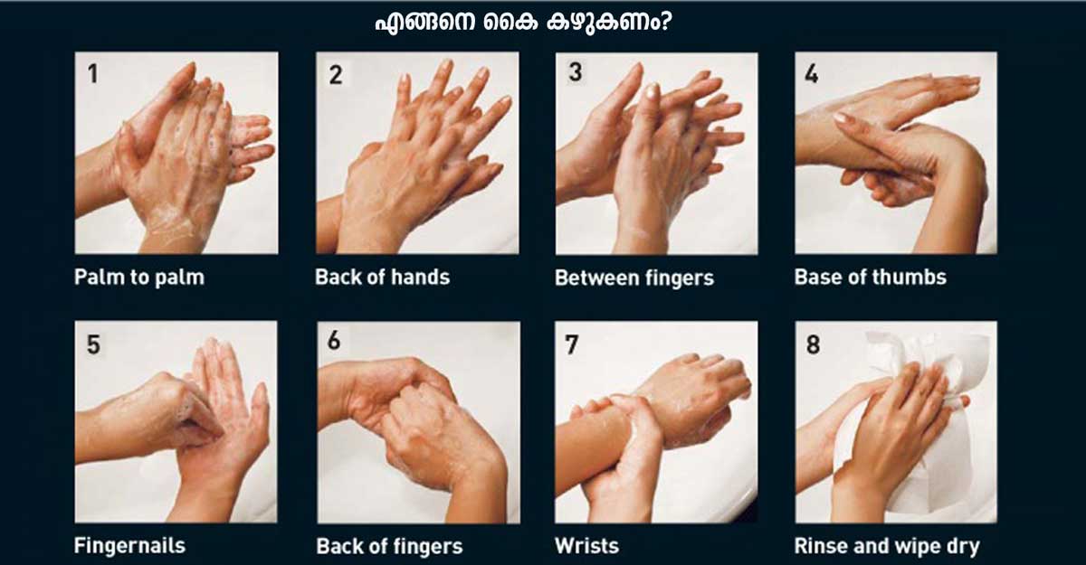 ഇന്ന് ലോക കൈകഴുകല്‍ ദിനം; കോവിഡിനെ തുരത്താൻ കരുതലോടെ നമുക്കും ചെയ്യാം ...
