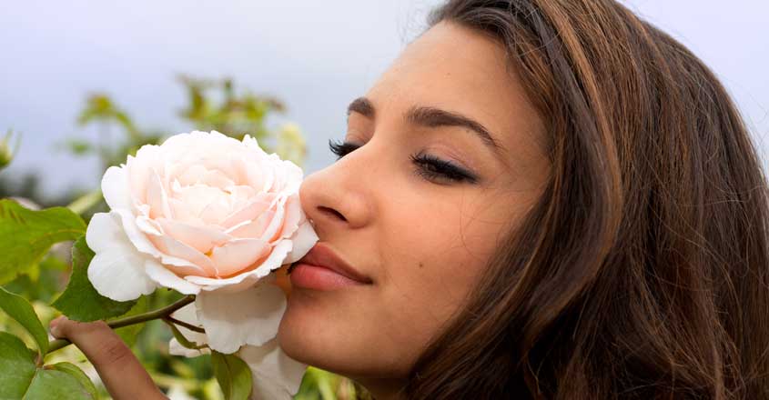 ഓർമശക്തി കൂട്ടണോ; ഇതാ നിങ്ങൾക്ക് ഇഷ്ടമുള്ള ഒരു വഴി | Memory | Memory power