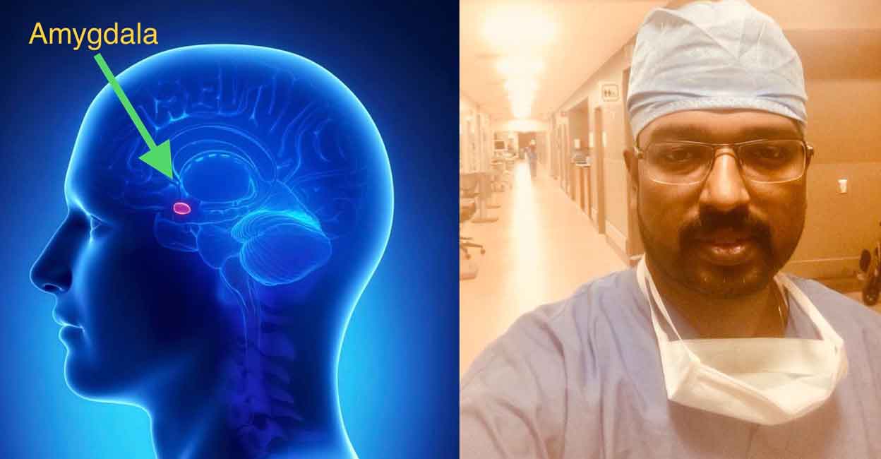 തലച്ചോറിലെ മുഴ ഒരു കൊലയാളിയെയും കറുത്ത പൂച്ചയെയും സൃഷ്ടിച്ചതെങ്ങനെ? ഡോ ...