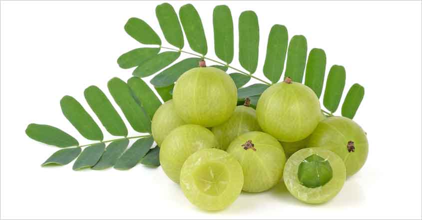 നെല്ലിക്ക: ഗുണങ്ങളിൽ ഇവൻ മധുരഫലം | Gooseberry | Amla | Healthy food ...