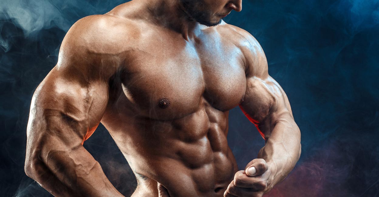 അറിയാം പേശികളിലെ കൗതുകങ്ങൾ | Health | Muscular System | Muscles