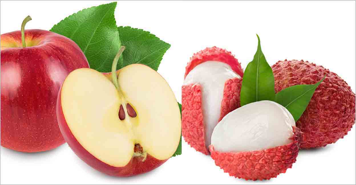 ആപ്പിള്‍ മുതല്‍ ലിച്ചി വരെ: ഈ പഴങ്ങളുടെ കുരു തിന്നുന്നത് അപകടം - Apple ...