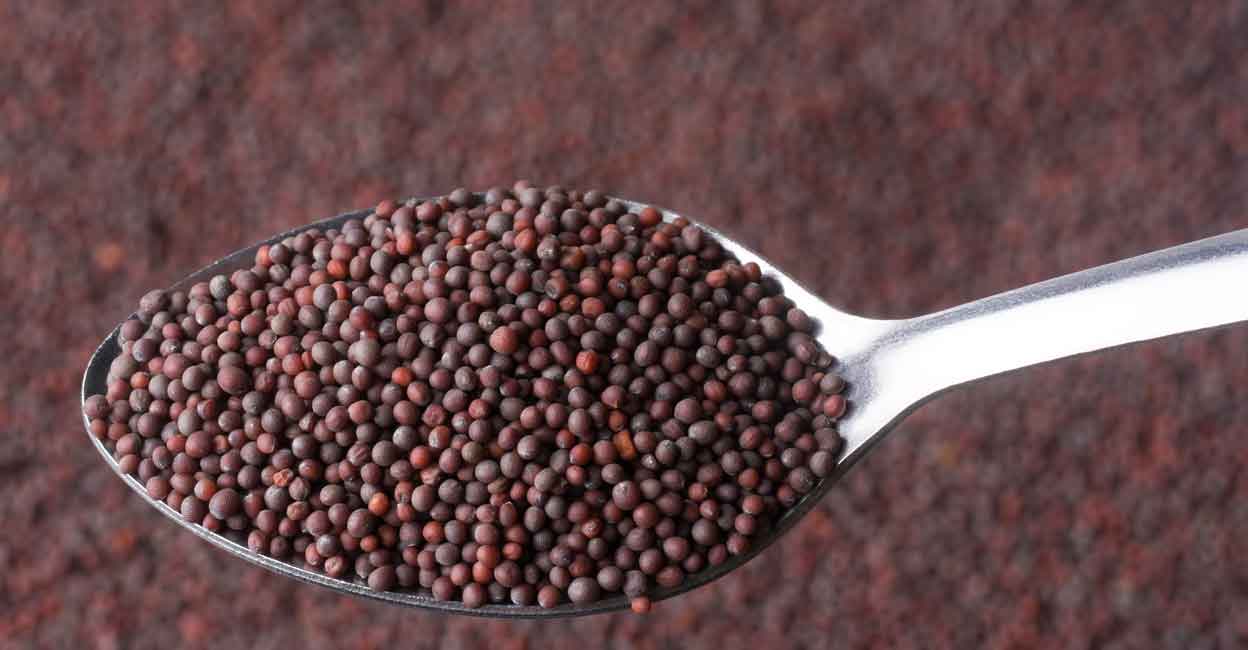 ഹൃദയപ്രശ്നങ്ങൾ മുതൽ കാൻസർ വരെ: അമിതമായാൽ കടുകും... - Mustard | Health ...