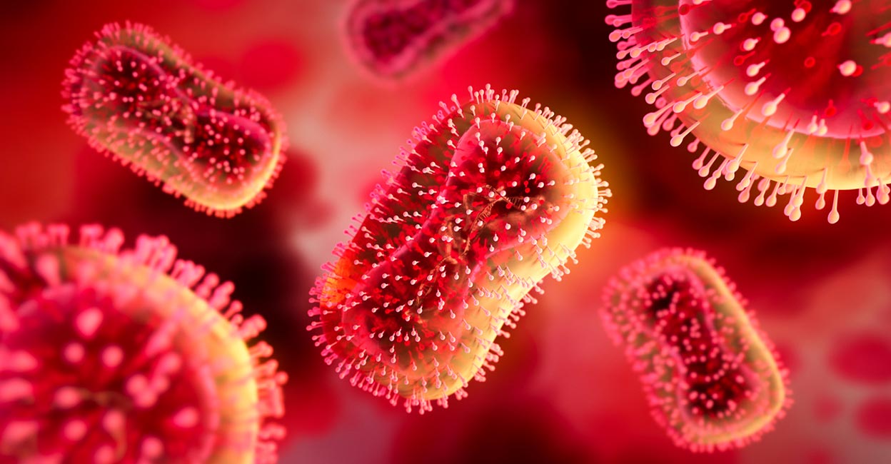 കർണാടകയിൽ രണ്ടു പേരുടെ മരണത്തിനിടയാക്കി കുരങ്ങ് പനി - Monkey Fever ...