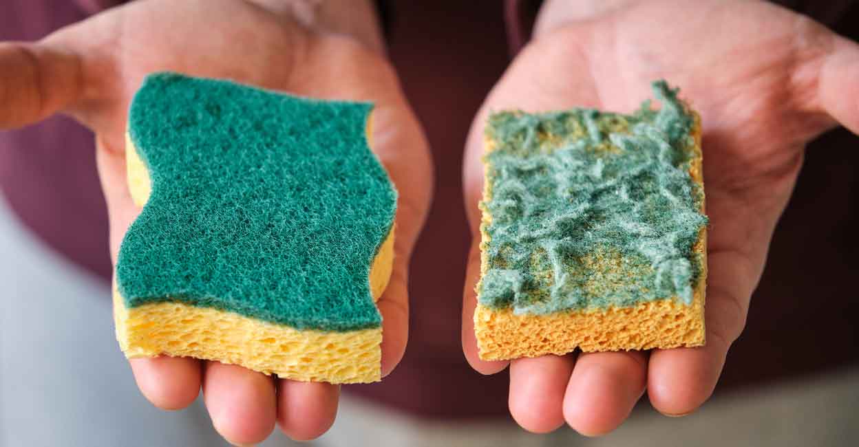 പാത്രം കഴുകാൻ സ്പോഞ്ച് ആണോ ഉപയോഗിക്കുന്നത്? – Kitchen Sponge | Food ...