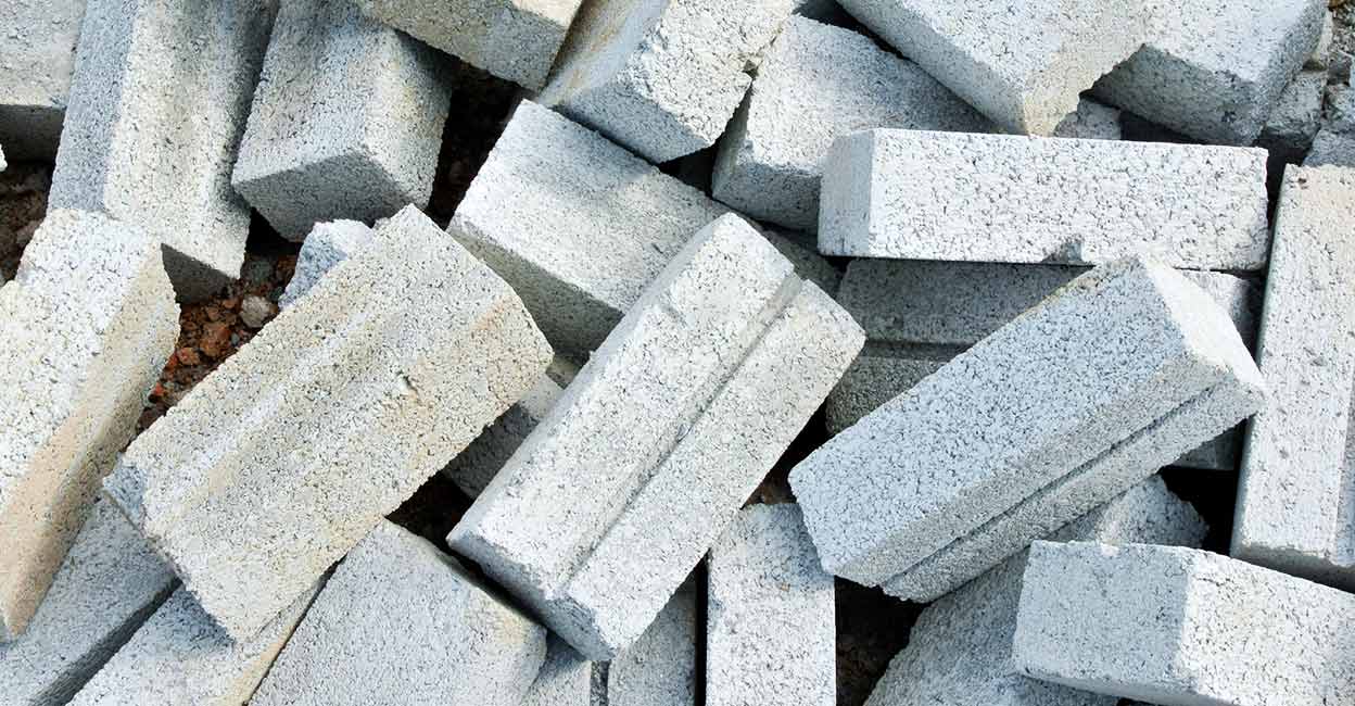 കാണുന്നതെല്ലാം വിശ്വസിക്കരുത്: 'അഴകുള്ള ചക്ക'യും വീടുപണിയും; അനുഭവം