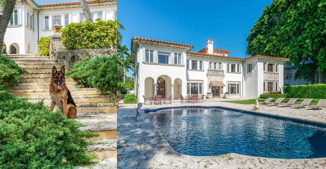 ഇത് ലോകത്തിലെ ഏറ്റവും ധനികനായ നായ! സ്വന്തമായി ആഡംബരബംഗ്ലാവ്, 594 ...