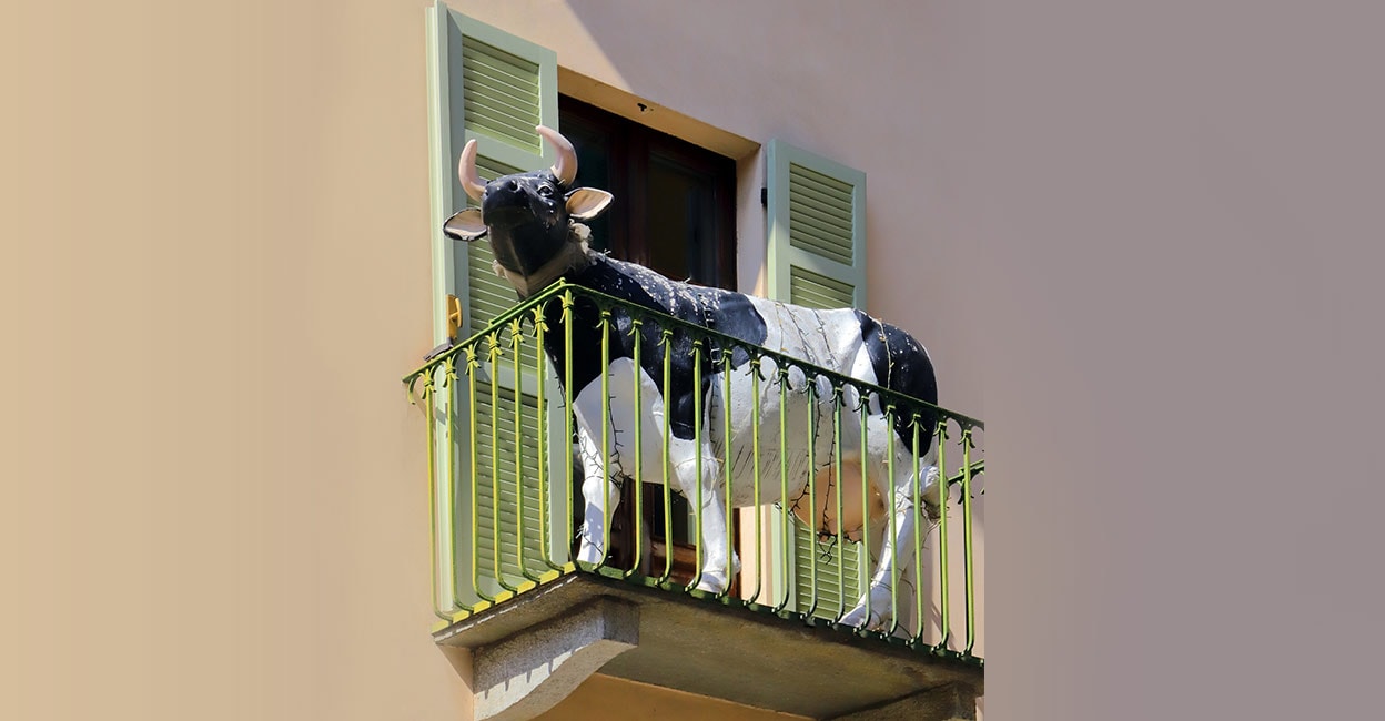 Chinese Man Turns Balcony into Cow Shed: A Unique Solution for Urban ...