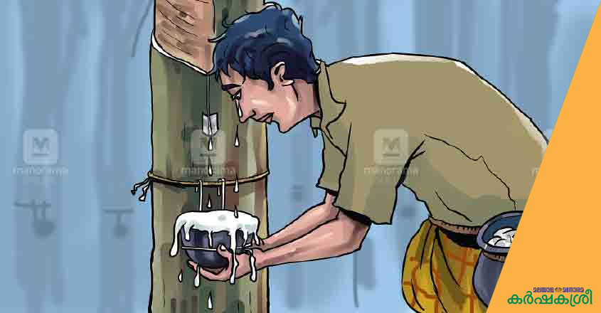 റബർ ടാപ്പിങ് തൊഴിലാളികള്‍ക്കുള്ള പെന്‍ഷന്‍ പദ്ധതിയിലേക്ക് അപേക്ഷിക്കാം ...