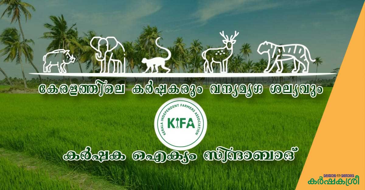 ഇരുപതിന അവകാശ പത്രിക‌യുമായി കിഫ