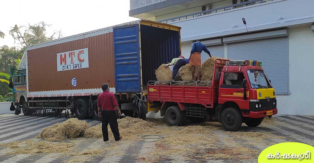കേരളത്തിലെ ക്ഷീരകർഷകർക്ക് ഇനി പഞ്ചാബിൽനിന്ന് വൈക്കോൽ; ആവശ്യമെങ്കി ...