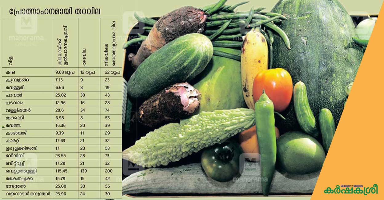 വിളകളുടെ വില താങ്ങാനാളുണ്ട് പക്ഷേ, അപേക്ഷ നൽകണം | Minimum Support Price ...