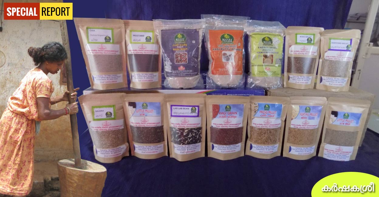 741.97 ഹെക്ടറിൽ കൃഷി; അട്ടപ്പാടിയുടെ ജൈവ ചെറുധാന്യങ്ങൾ ഉടൻ വിപണിയി ...